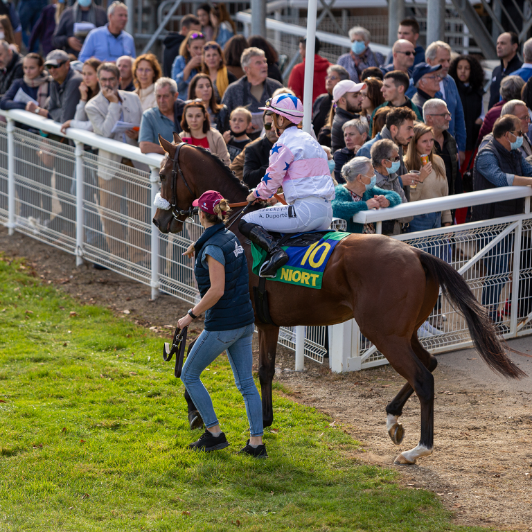 Accueil - Hippodrome de Niort-Romagné